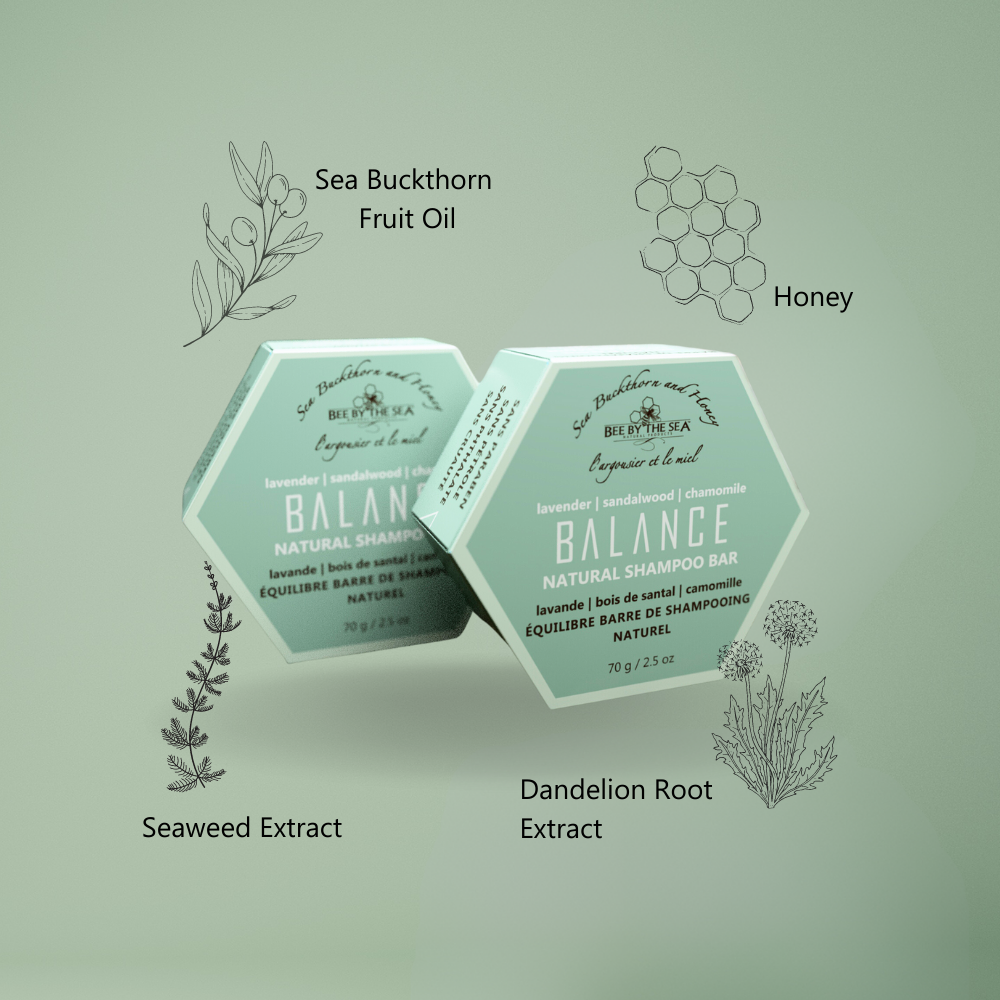 Best Zero Waste Shampoo Bars for Sustainable Living - Bee By The Sea