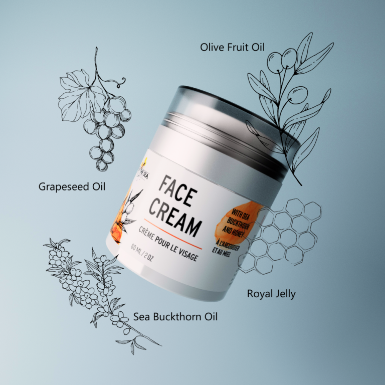 Build Your Skincare Routine with the Best Face Creams for Winter - Bee ...